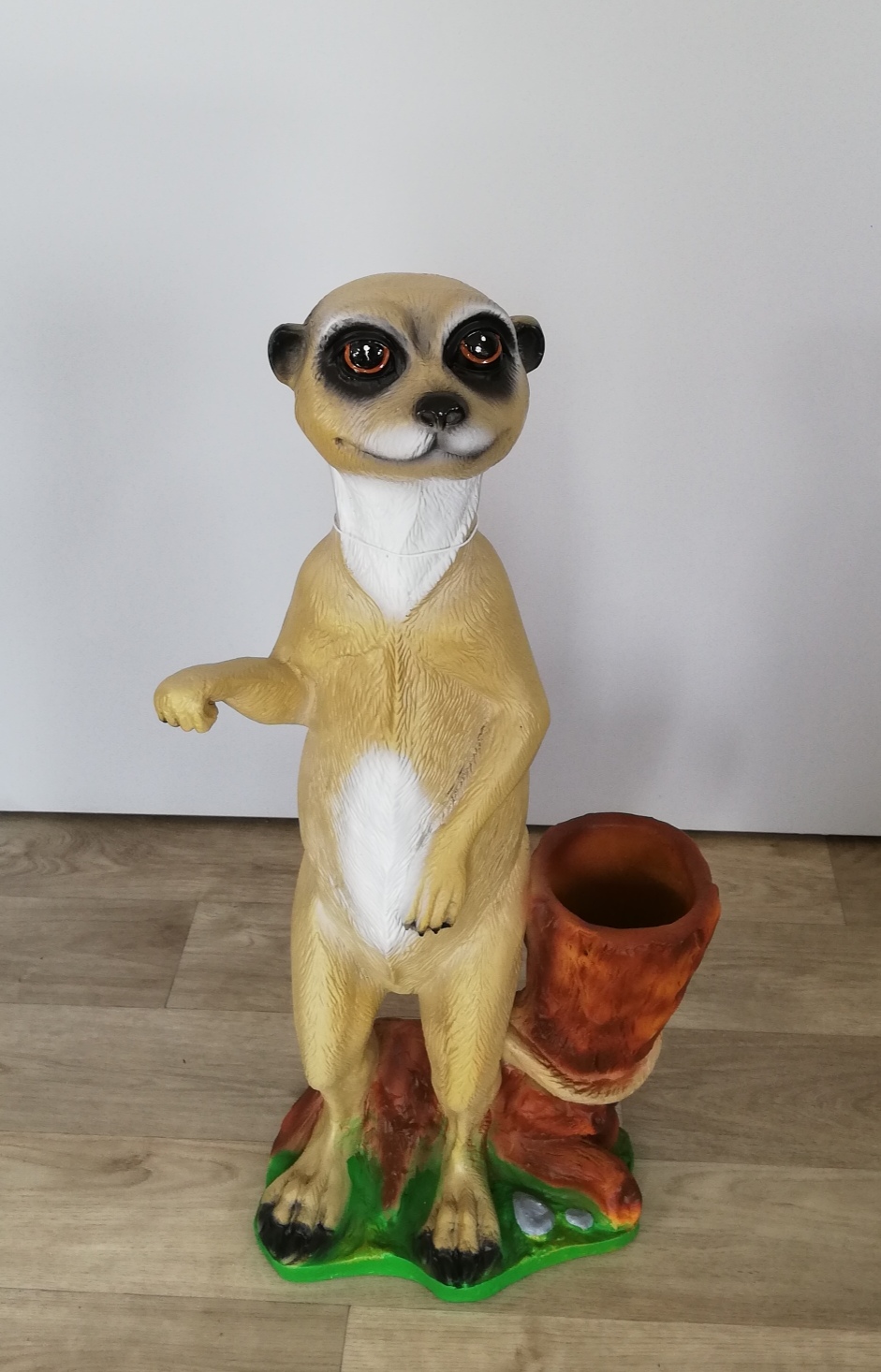 Surricat - Esprit Sud by CMTP